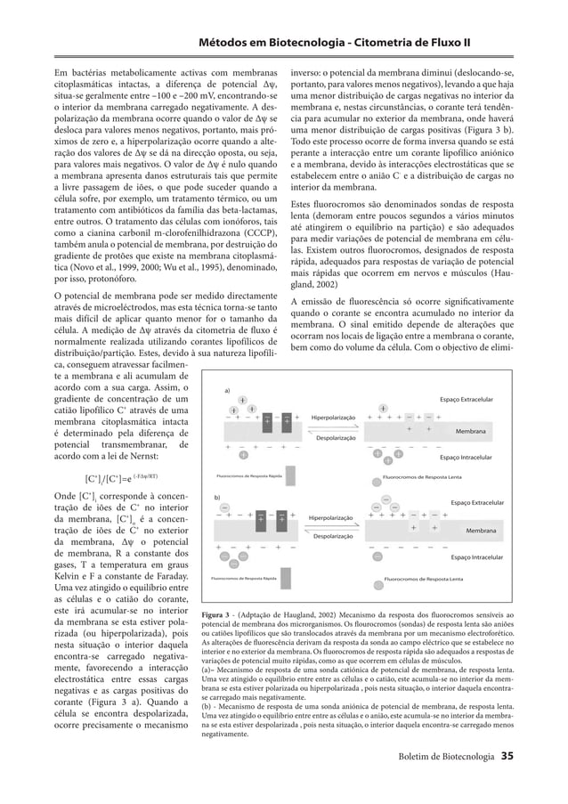 Citometria de fluxo | PDF