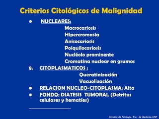 Clase Citologia | PPT
