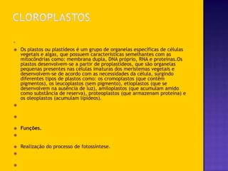 Citoplasma e algumas de suas organelas | PPTX
