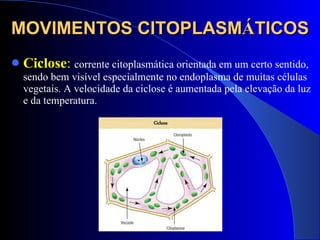 Citoplasma e organelas | PPT