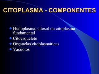 Citoplasma e organelas | PPT