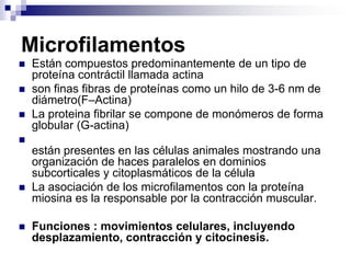 Citoplasma y citoesqueleto | PPT