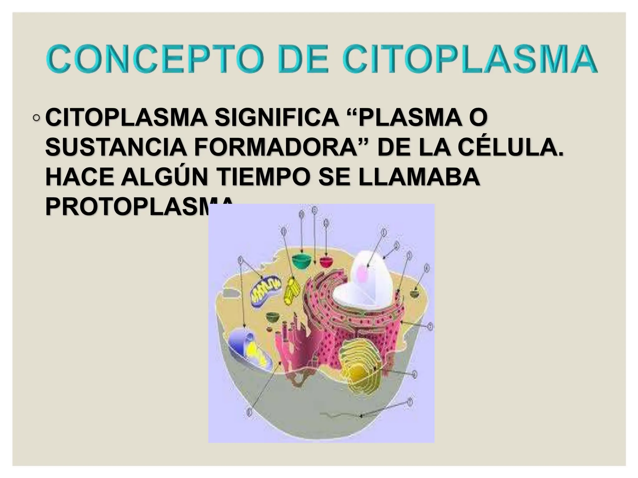 CITOPLASMA Y CITOESQUELETO EN BIOLOGIA Y BIOQUIMICA.pptx