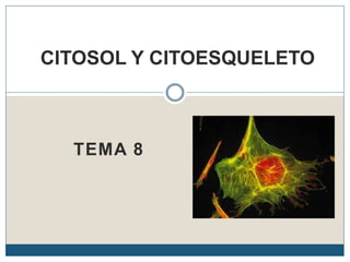 Citosol_y_citoesqueleto en anatomia .pdf