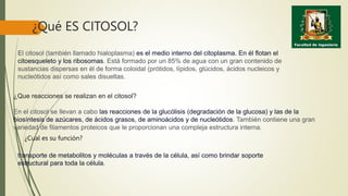 CITOSOL Y CITOESQUELETO botanica JUDITH.pptx