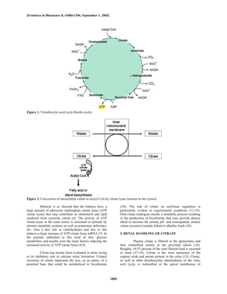 Citrate and mineral metabolism | PDF
