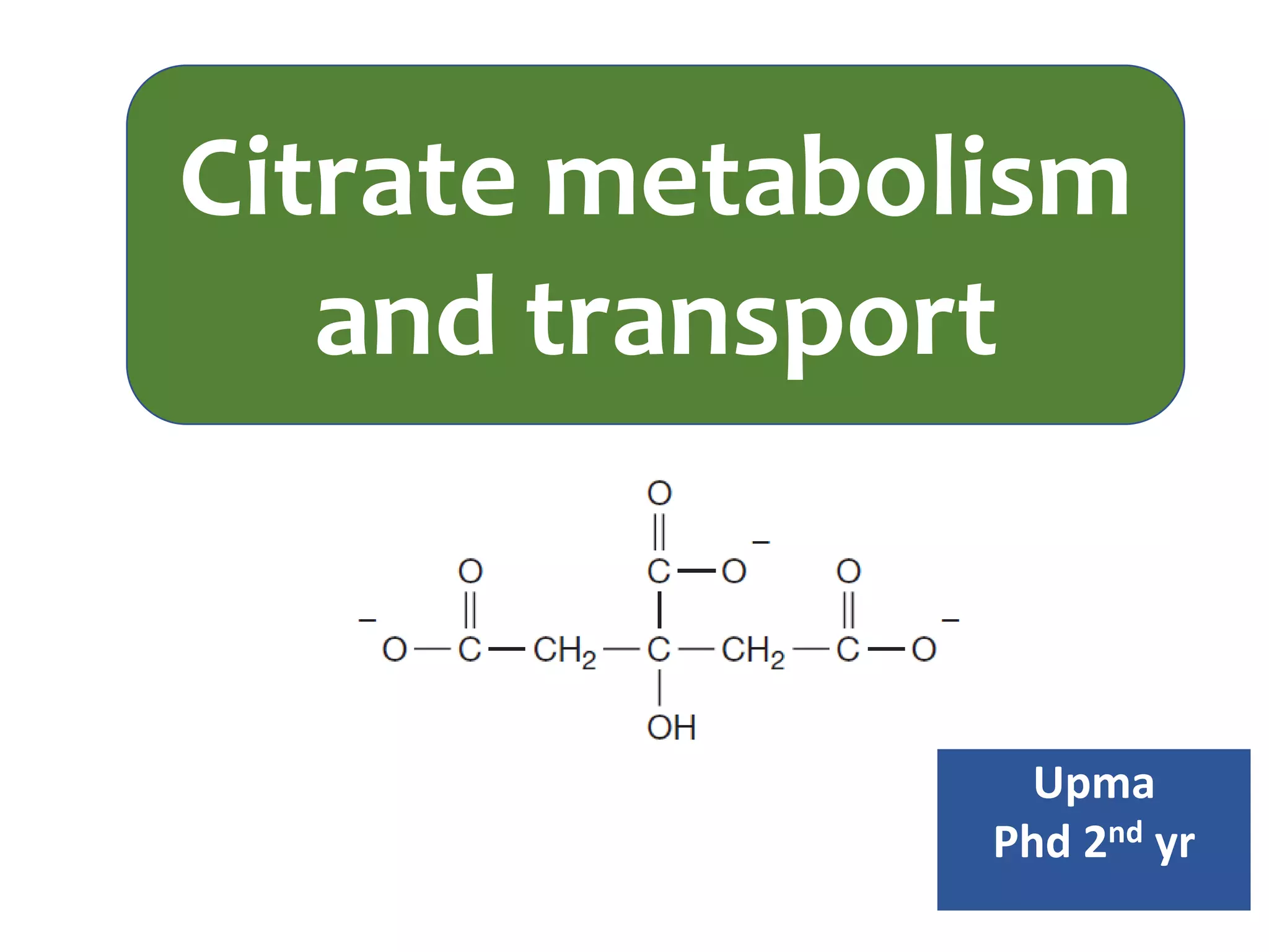 Citrate metabolism | PPTX | Chemistry | Science