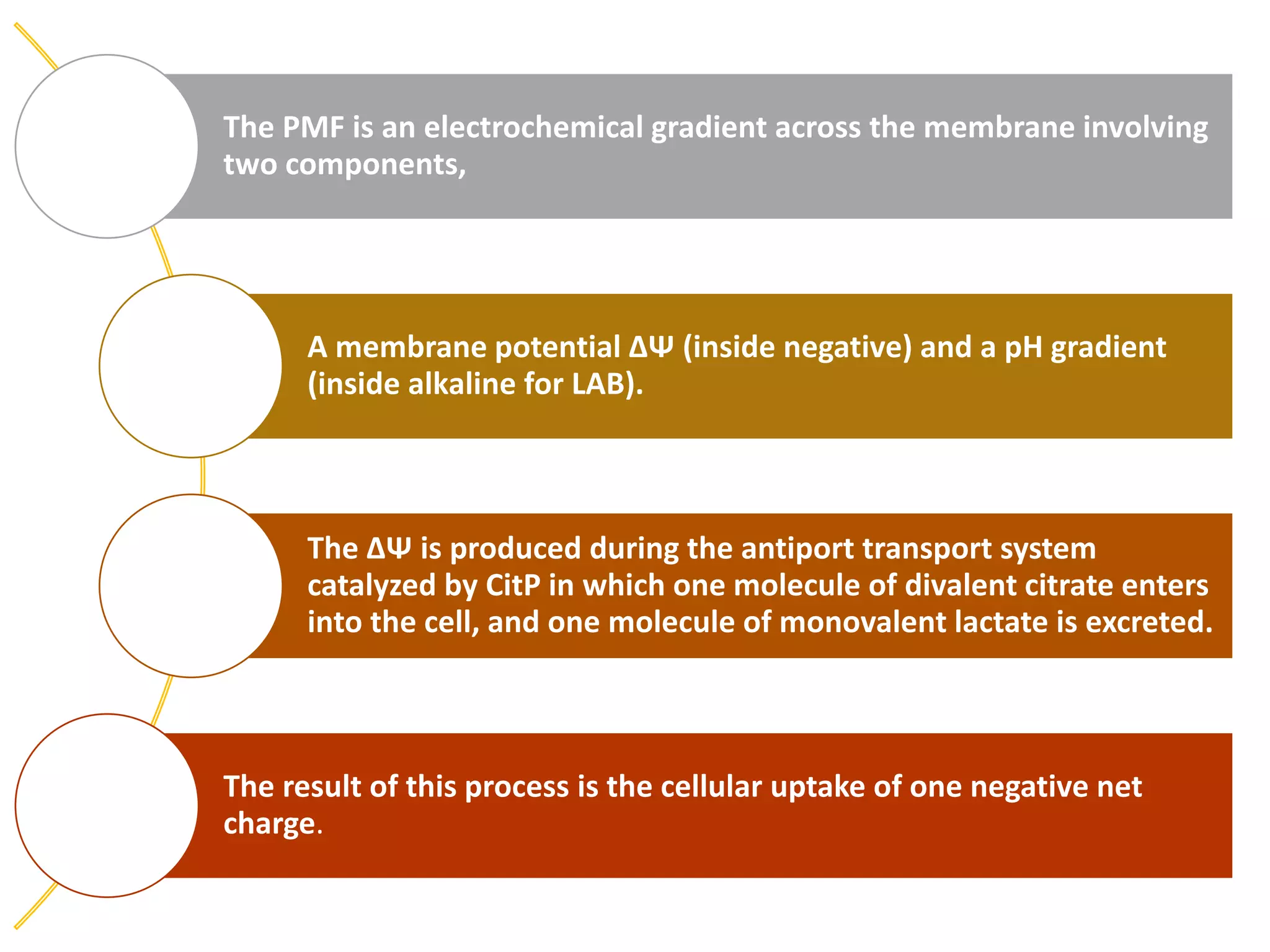 Citrate metabolism | PPTX | Chemistry | Science