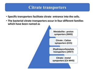 Citrate metabolism | PPTX | Chemistry | Science