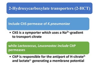 Citrate metabolism | PPTX | Chemistry | Science
