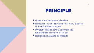 Citrate test for biochemical analysis of microbes.pptx