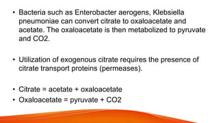 CITRATE UTILIZATION TEST.pptx