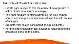 CITRATE UTILIZATION TEST.pptx
