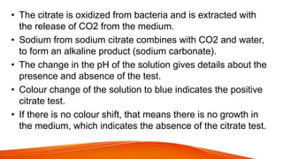CITRATE UTILIZATION TEST.pptx