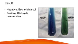 CITRATE UTILIZATION TEST.pptx