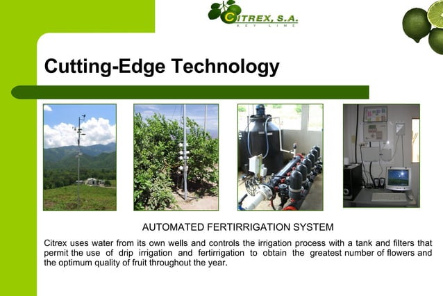 Citrex Presentation | PPT