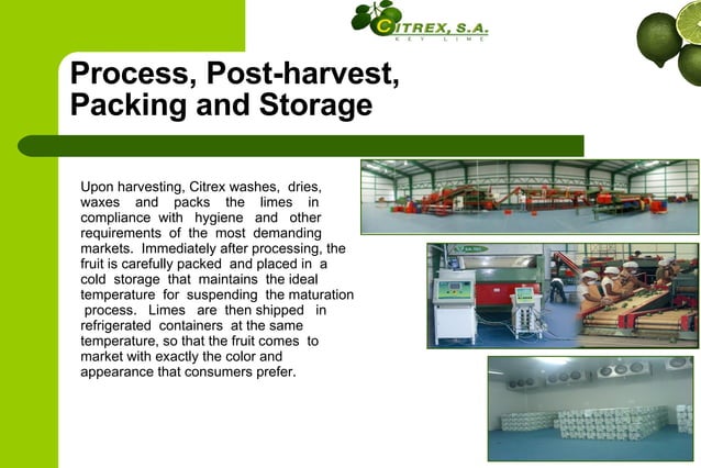 Citrex Presentation | PPT