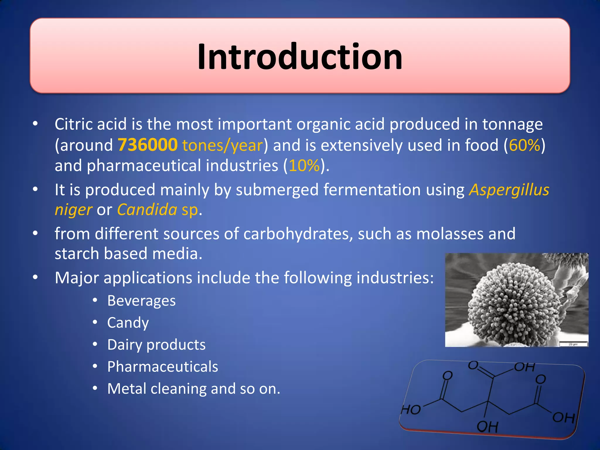 Citric Acid Fermentation | PDF