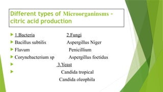 citric acid. production. Industrial production | PPT