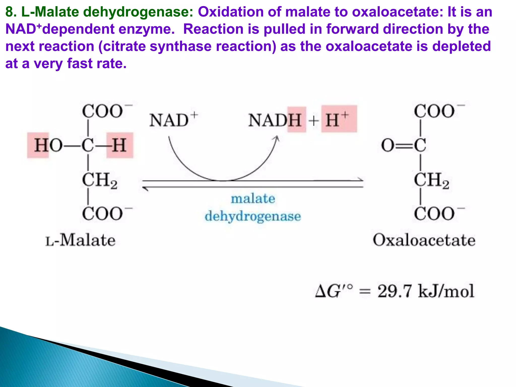 Citric acid cycle | PDF