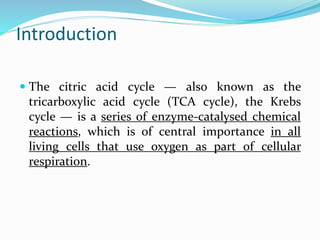 Citric acid cycle | PPT