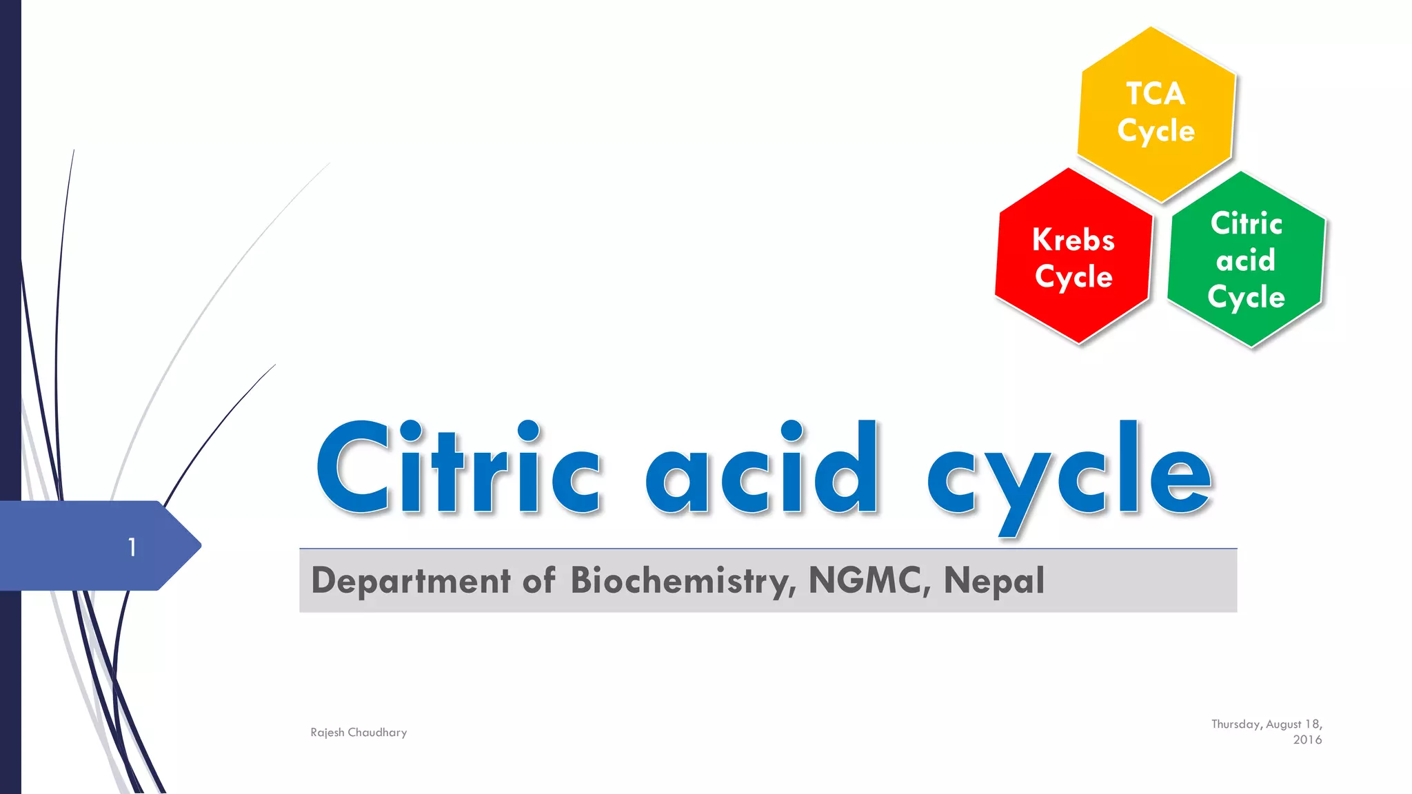 Citric acid cycle | PDF