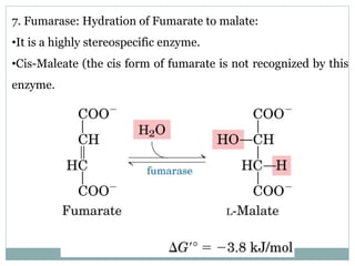 Citric acid cycle | PPTX