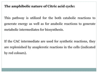 Citric acid cycle | PPTX