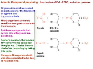 Citric acid cycle | PPT
