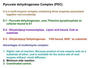 Citric acid cycle | PPT