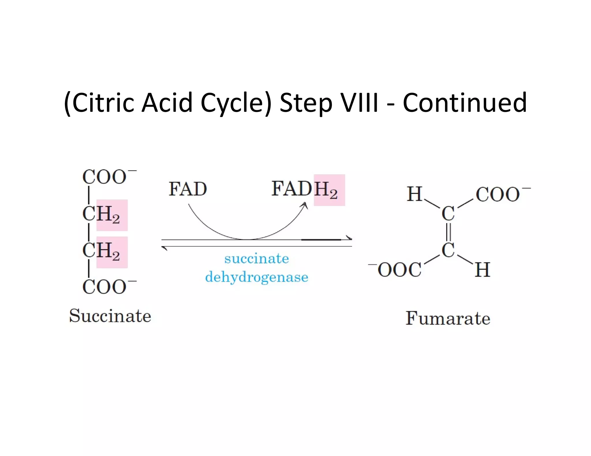 Citric Acid Cycle | Krebs Cycle | TCA cycle | PPT