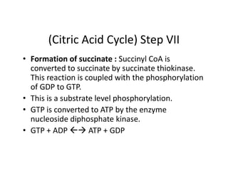 Citric Acid Cycle | Krebs Cycle | TCA cycle | PPT