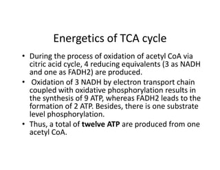 Citric Acid Cycle | Krebs Cycle | TCA cycle | PPT
