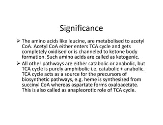 Citric Acid Cycle | Krebs Cycle | TCA cycle | PPT