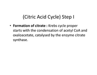 Citric Acid Cycle | Krebs Cycle | TCA cycle | PDF