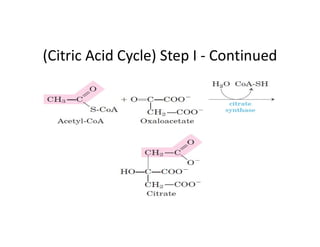 Citric Acid Cycle | Krebs Cycle | TCA cycle | PPT