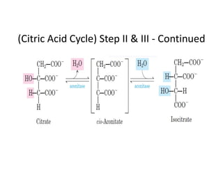 Citric Acid Cycle | Krebs Cycle | TCA cycle | PPT