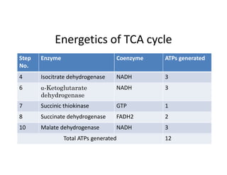 Citric Acid Cycle | Krebs Cycle | TCA cycle | PPT