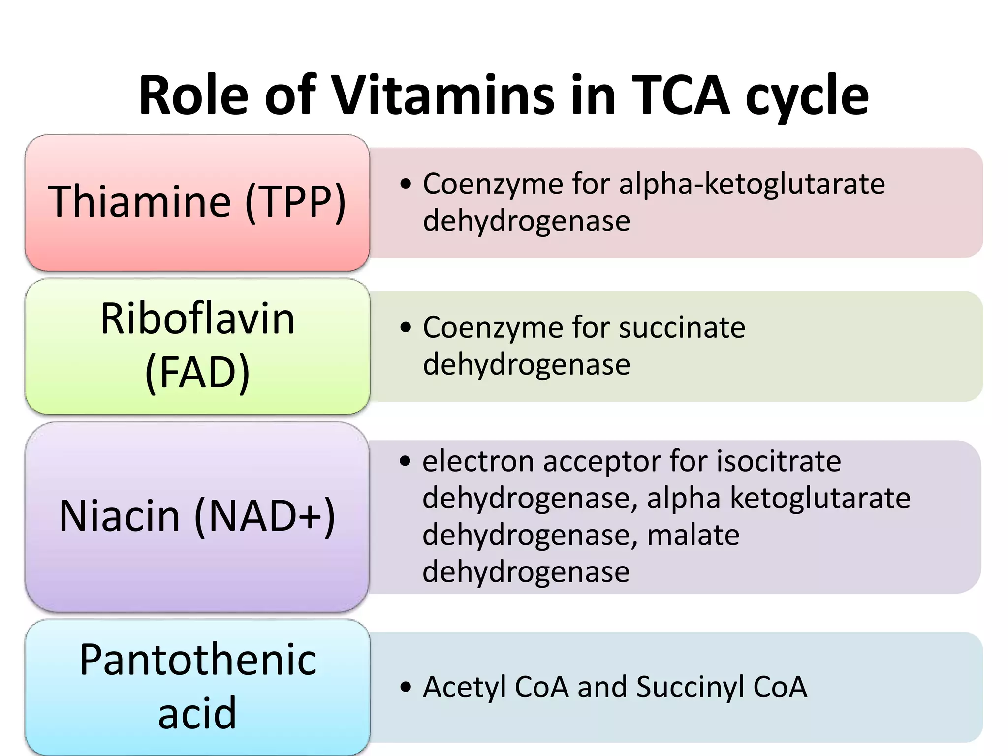 Citric acid cycle (TCA cycle) by Dr. Anurag Yadav | PPTX