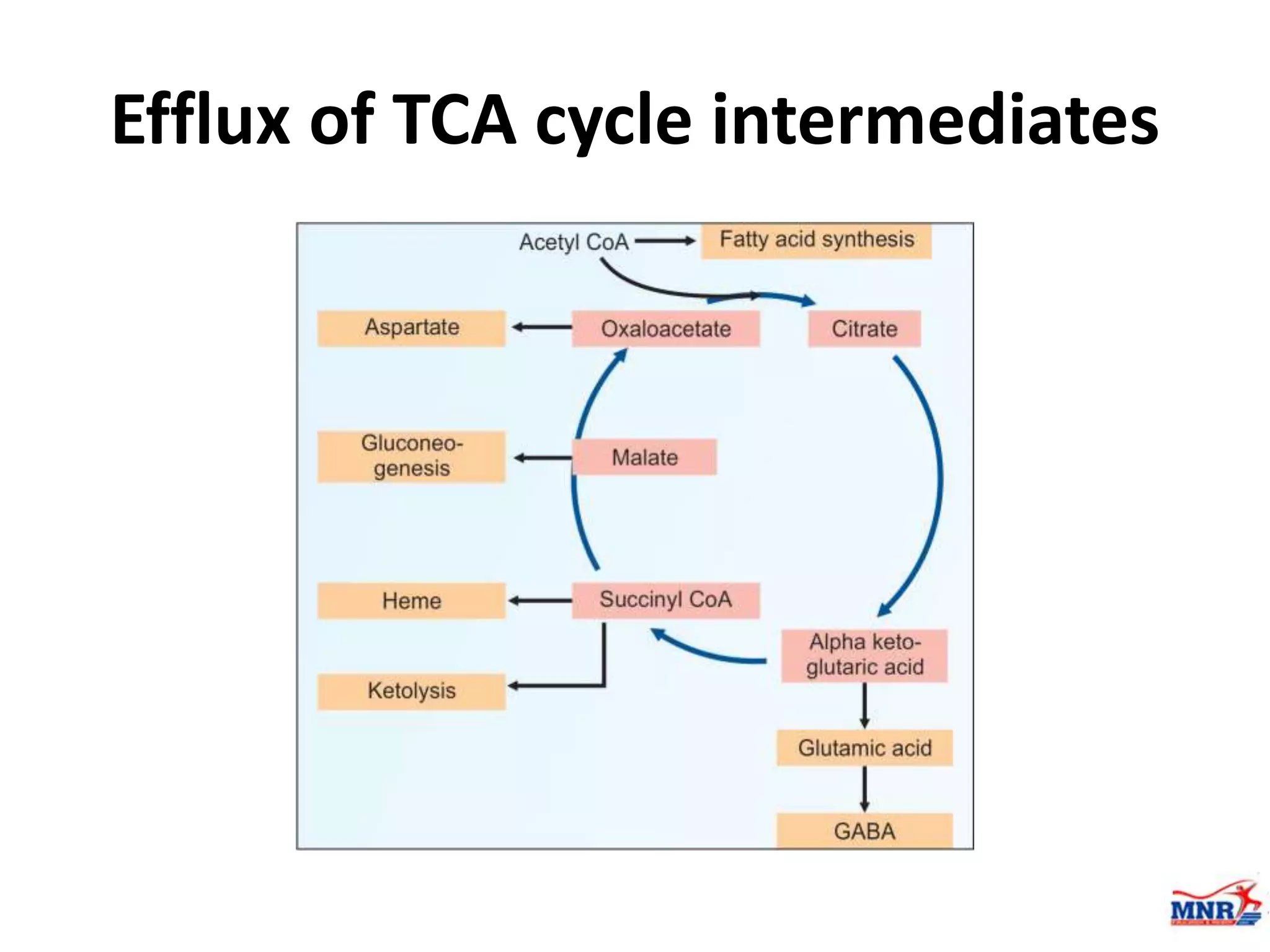 Citric acid cycle (TCA cycle) by Dr. Anurag Yadav | PPTX