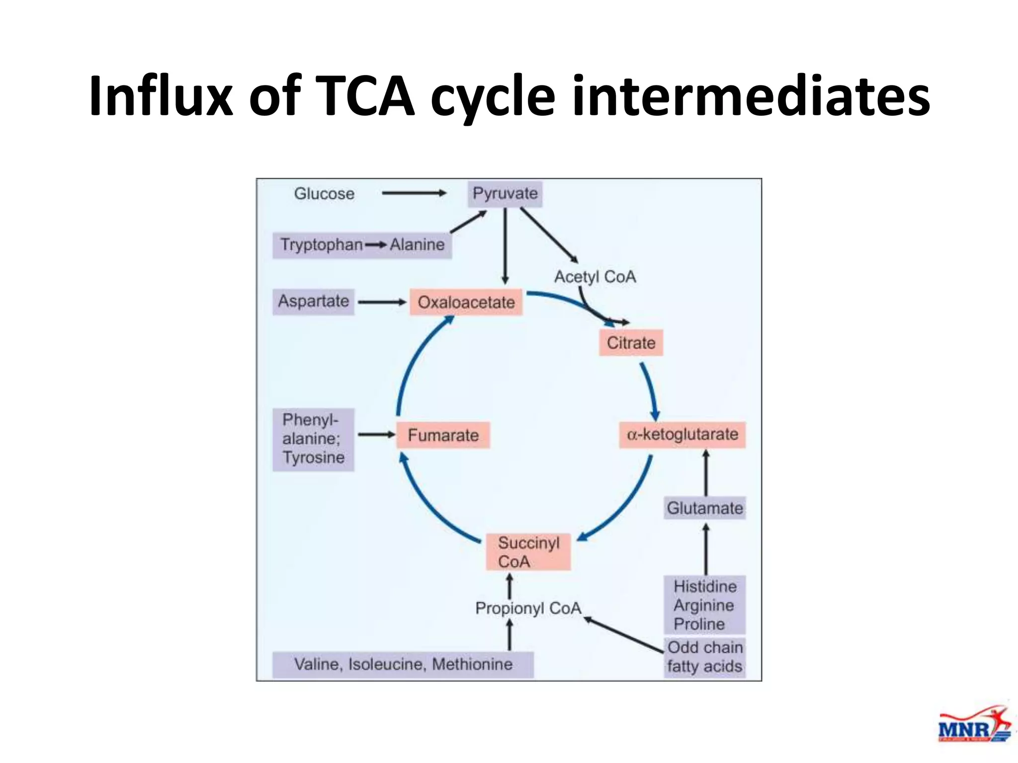Citric acid cycle (TCA cycle) by Dr. Anurag Yadav | PPTX