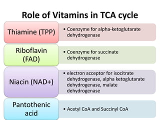 Citric acid cycle (TCA cycle) by Dr. Anurag Yadav | PPTX