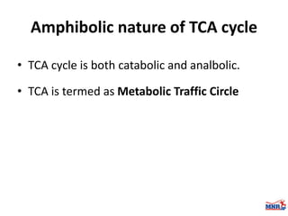 Citric acid cycle (TCA cycle) by Dr. Anurag Yadav | PPTX