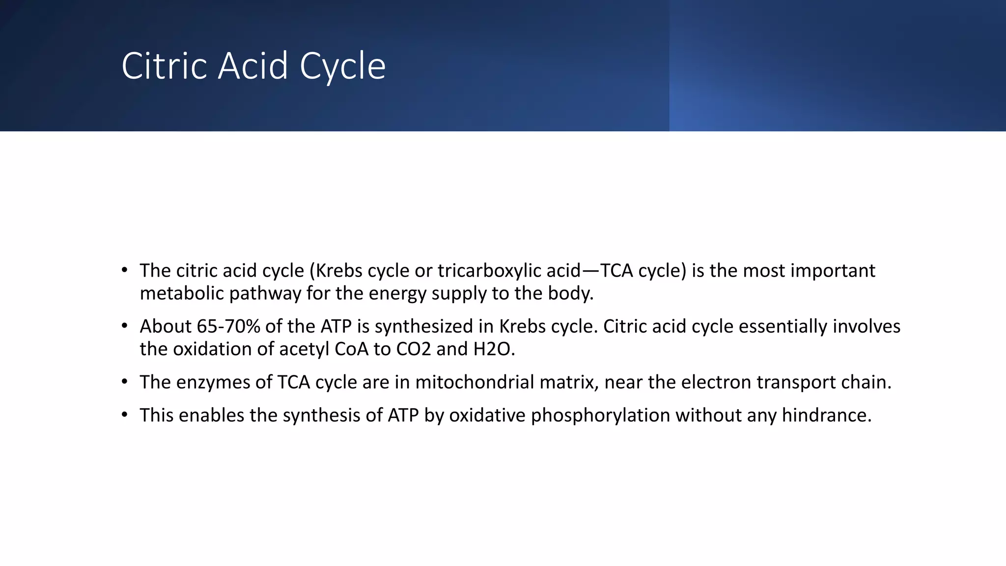 Citric acid cycle | PPT