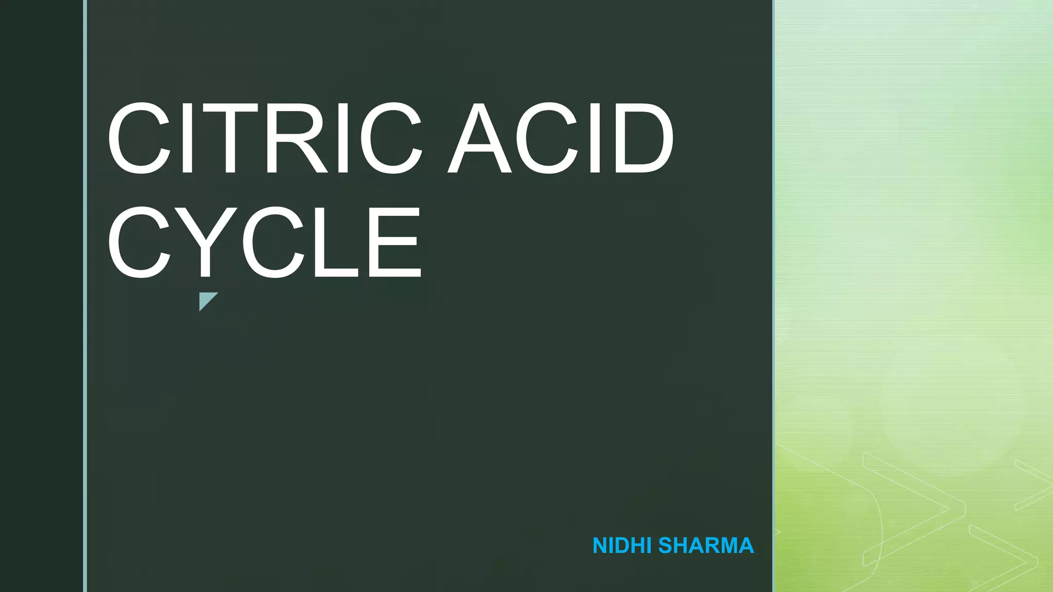 Citric acid cycle. | PPTX