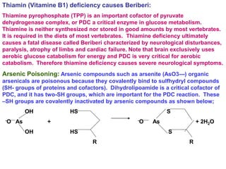 The citric acid cycle and its bioenergetics | PPT