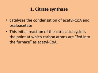 citric acid cycle.pptx funtion and explained in detail | PPTX