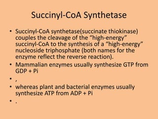 citric acid cycle.pptx funtion and explained in detail | PPTX