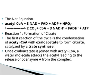 metabolic process of citric acid cycle.pptx