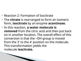 metabolic process of citric acid cycle.pptx